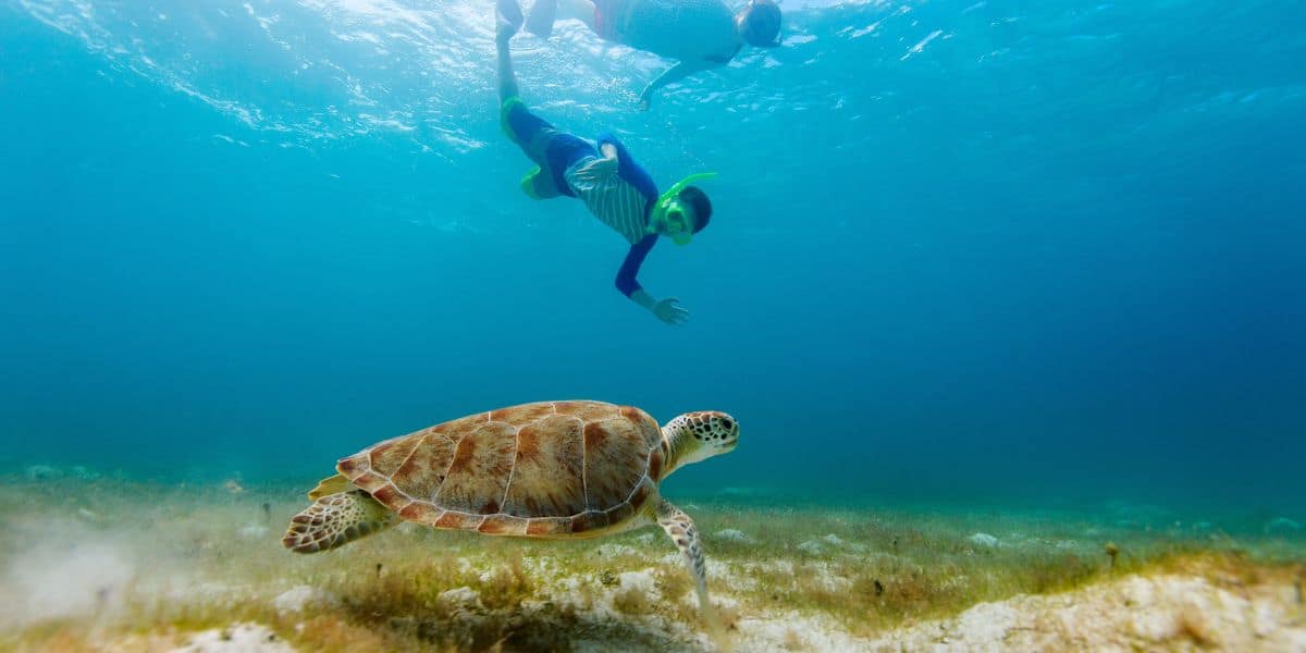 11 Best St Thomas Snorkeling Tours in 2024